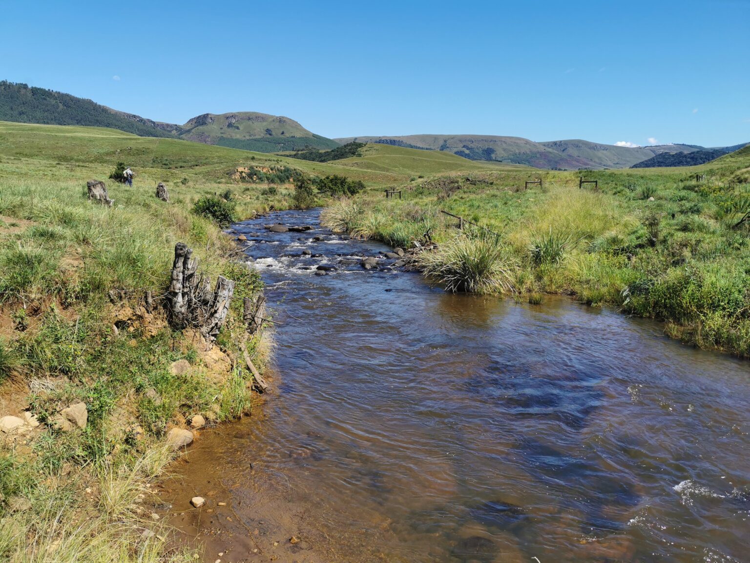 The Trout Streams of KwaZulu Natal - Truttablog