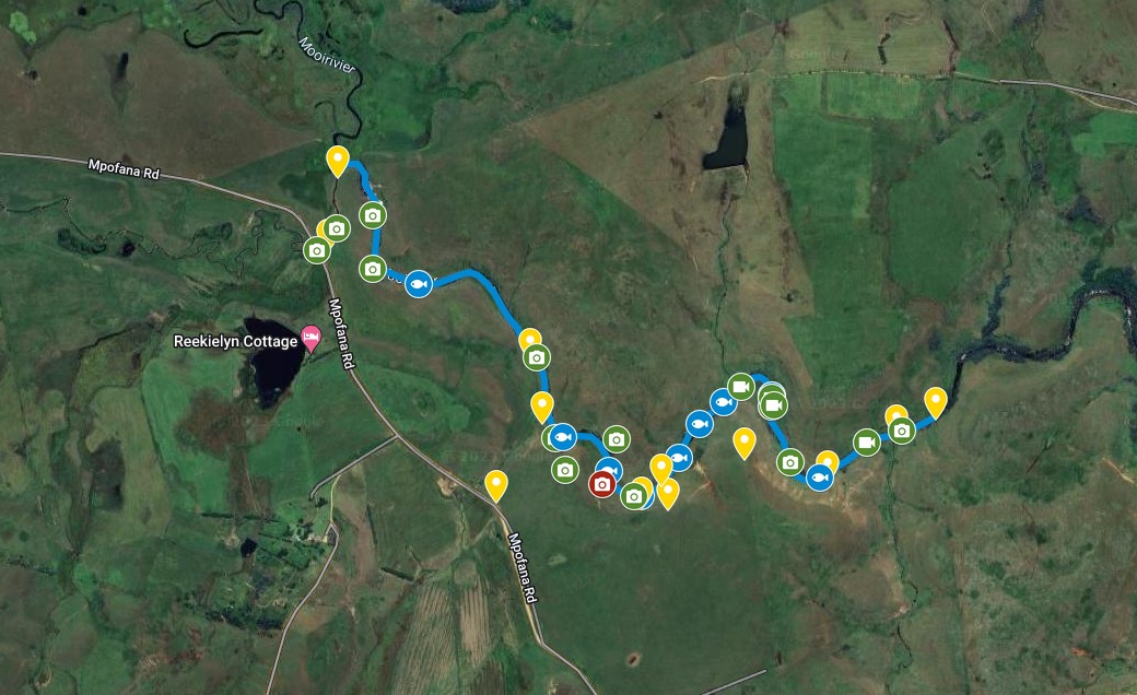 Reekie Lynn, A celebration of Place - Truttablog