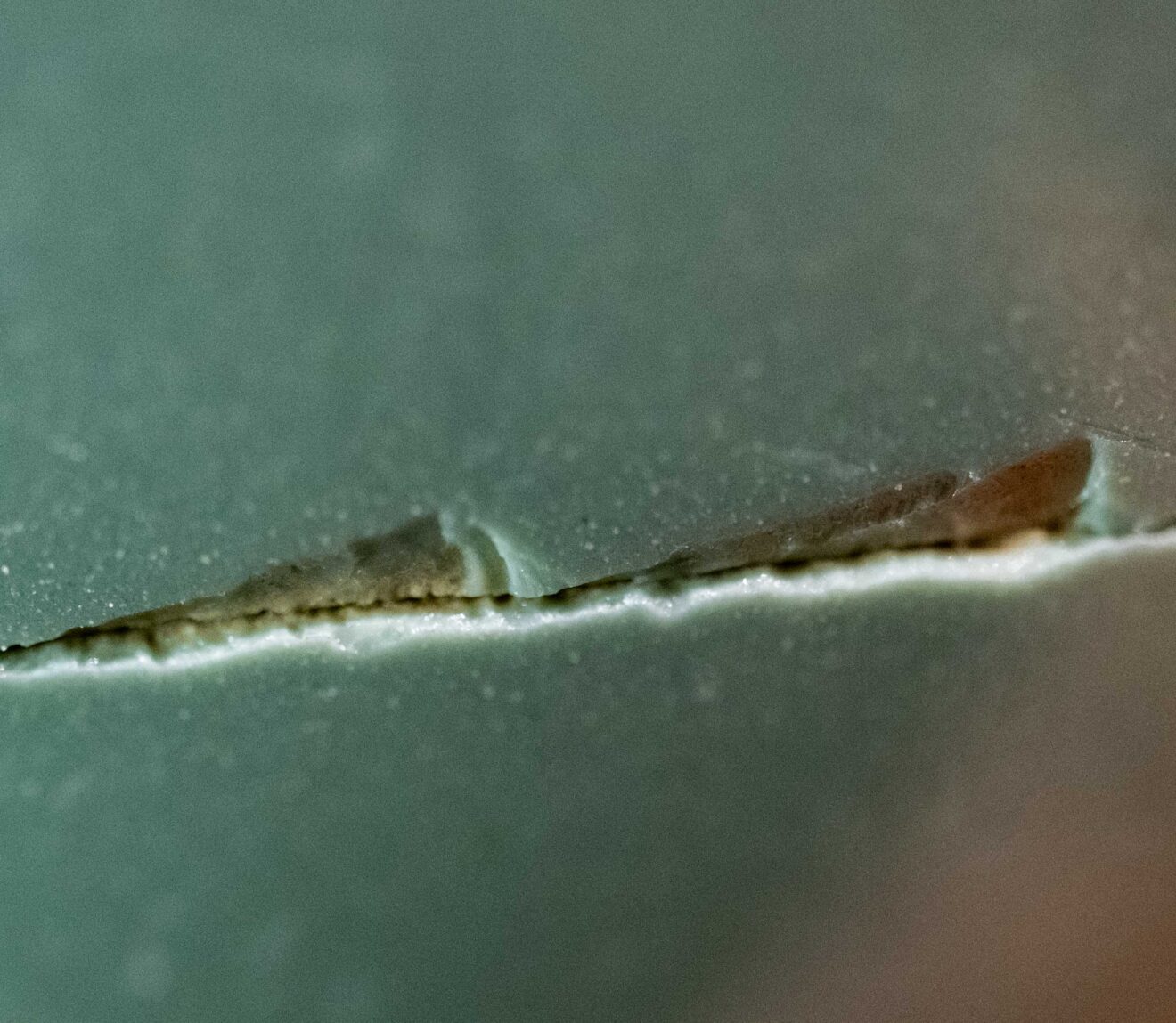 Pots, Reels and Mortality - Truttablog